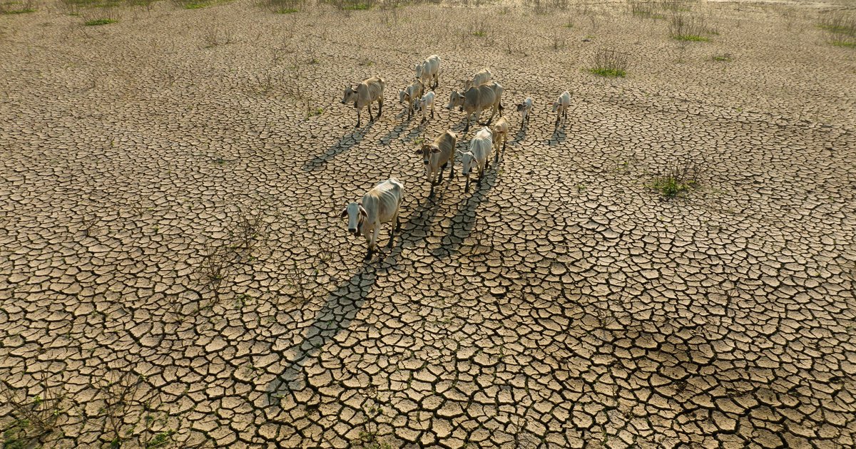 What do we have to lose? Understanding and responding to climate ...